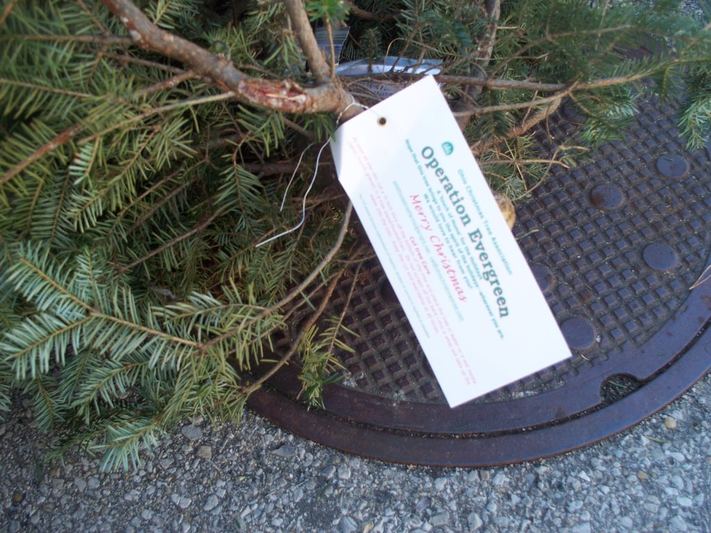 OPERATION EVERGREEN | Ohio Christmas Tree Association